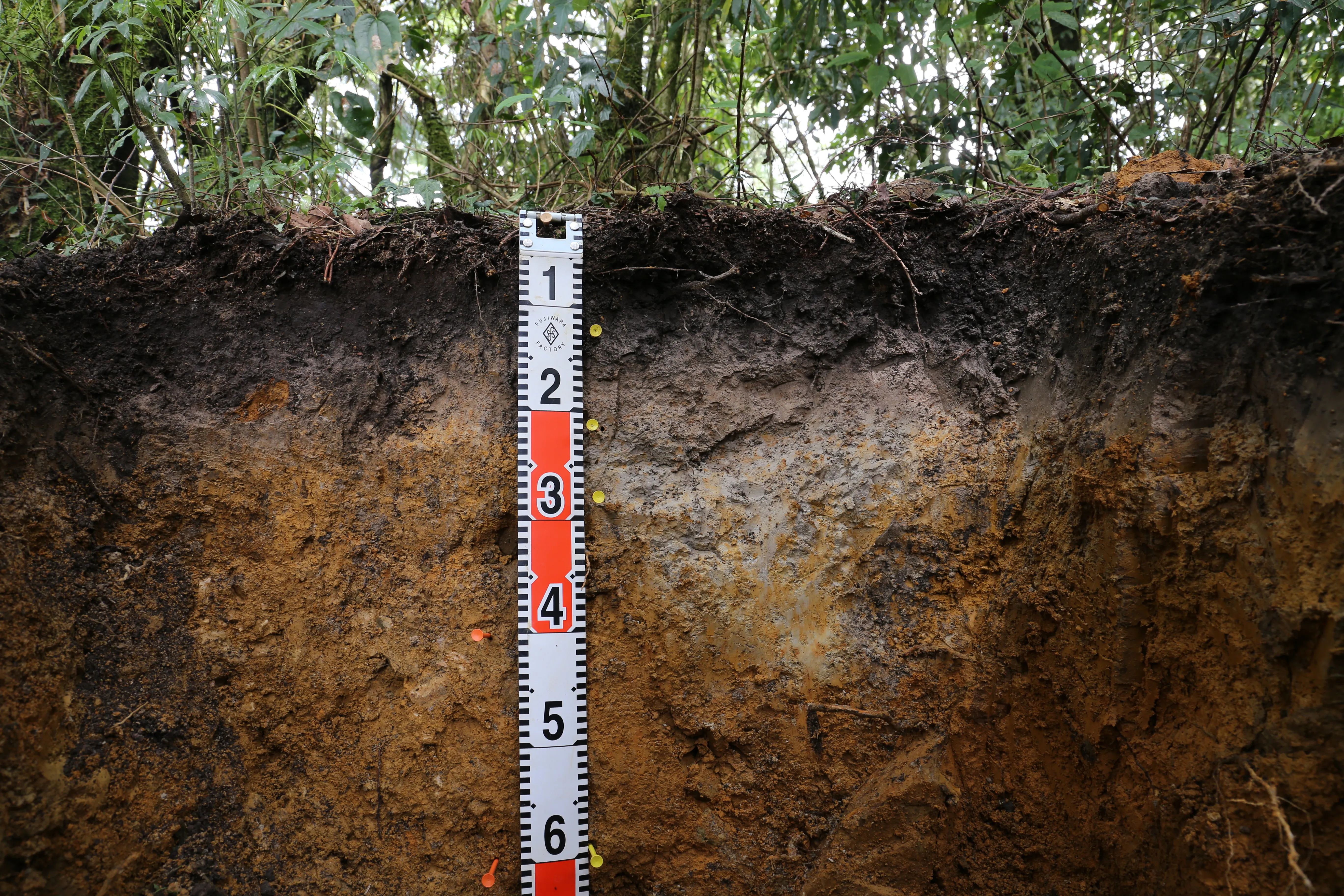 Taiwan Sediment Quality Information System