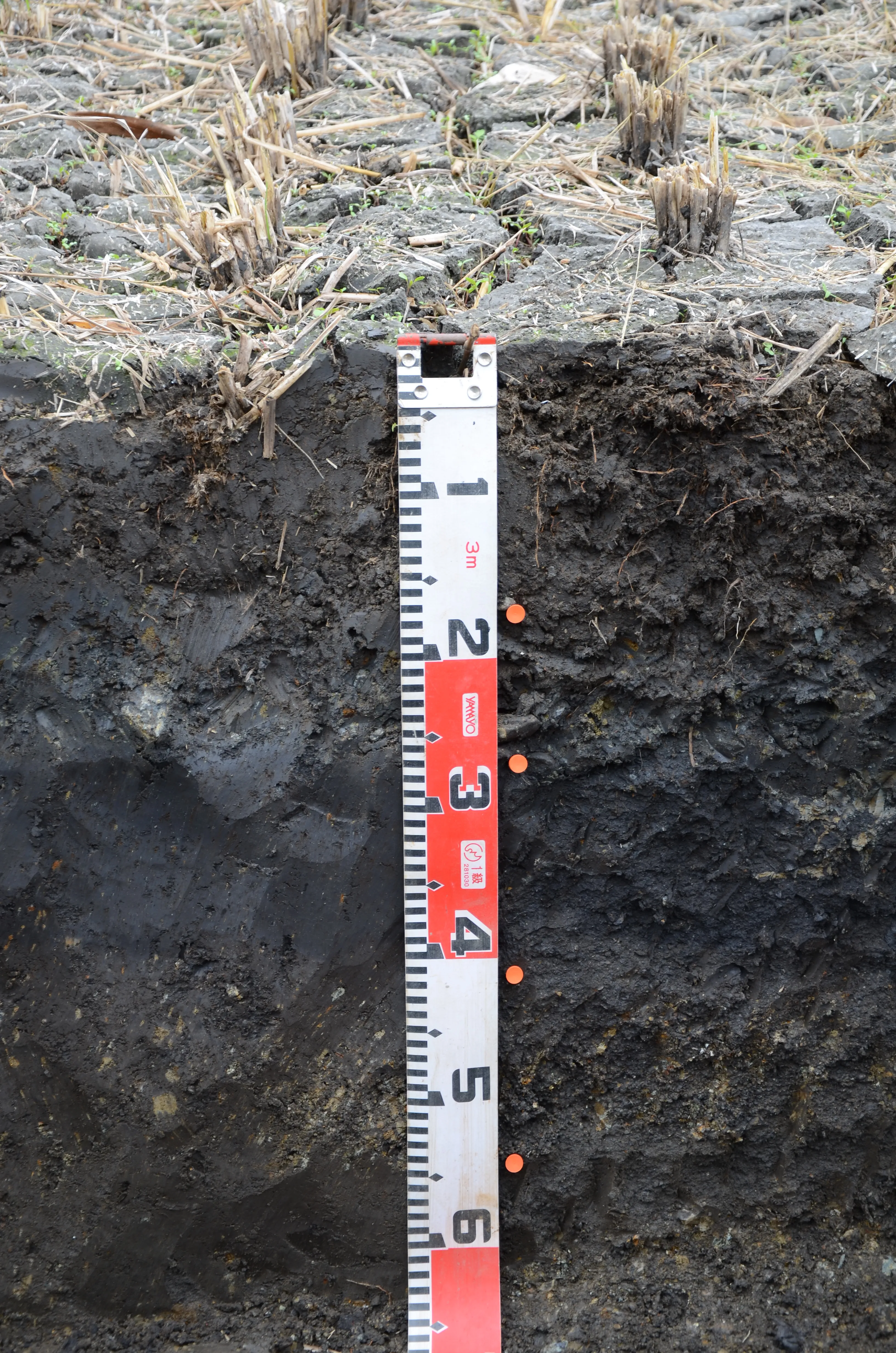 Taiwan Sediment Quality Information System